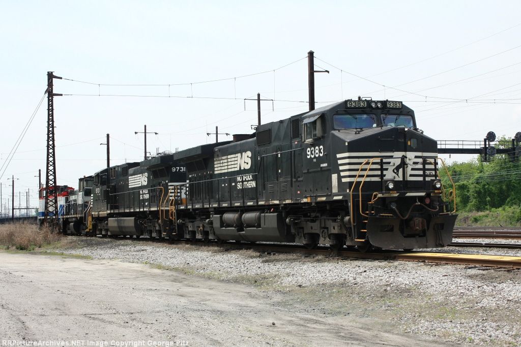 Waiting to go at Boy View yard